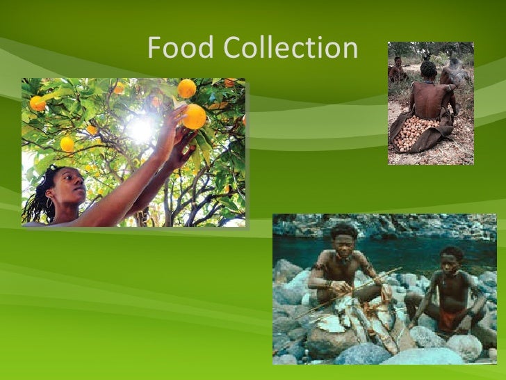 Getting Food Anthropology