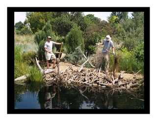 Getting More Bling for Less "Cha-Ching": Making the Most Out of Plant Purchases for Displays ...