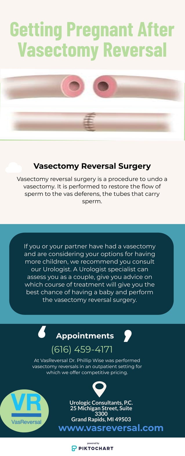 Getting Pregnant After Vasectomy Reversal | PDF
