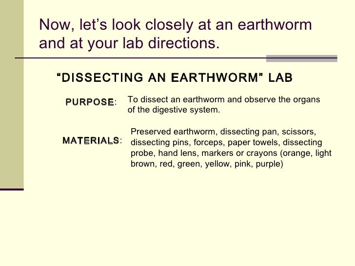 Getting read to dissect pp