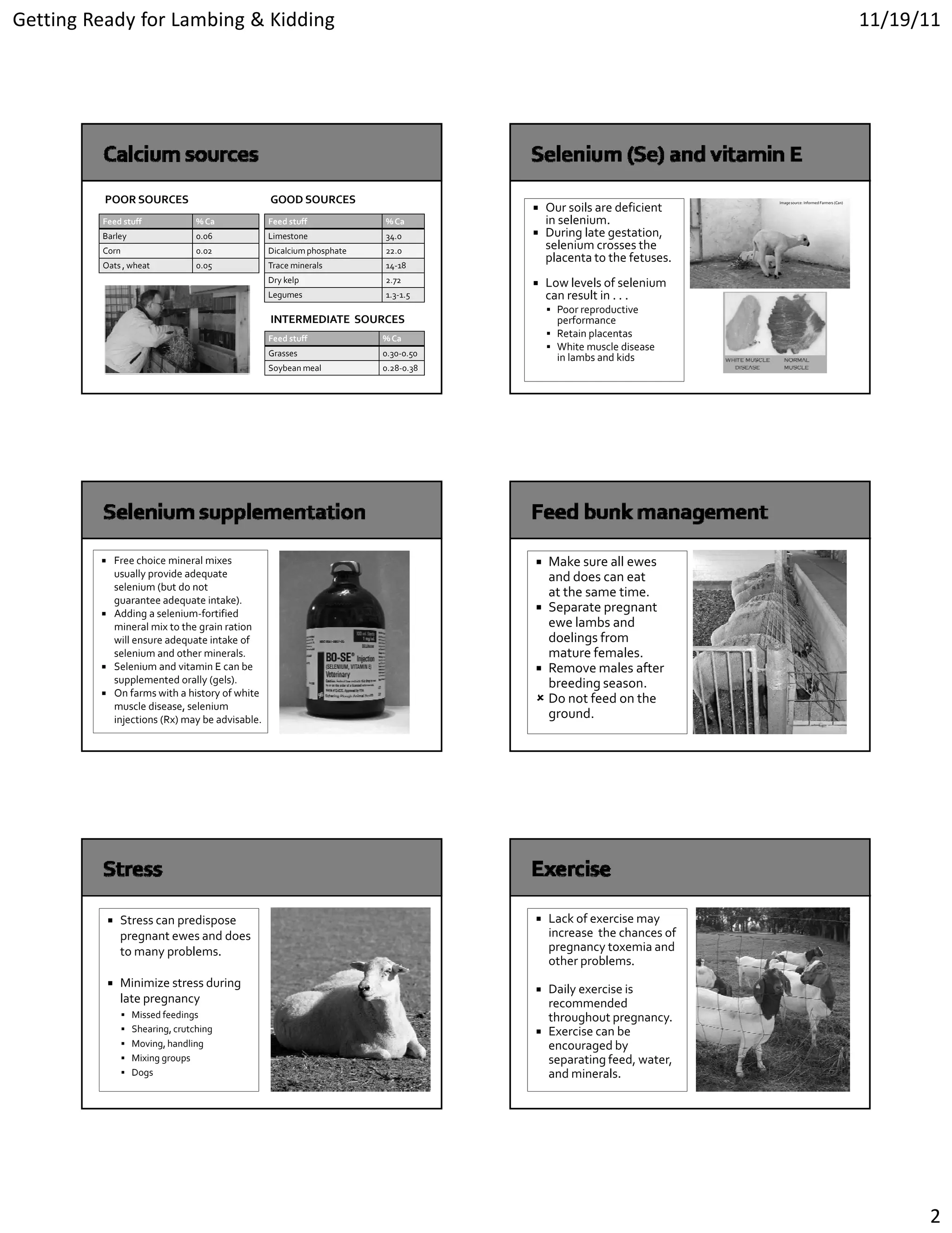 Getting ready for lambing and kidding | PDF