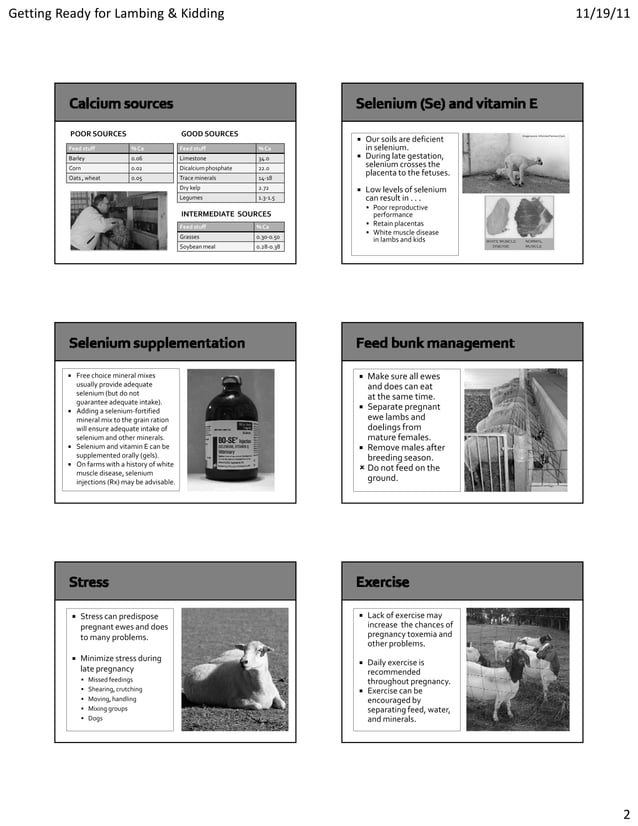 Getting ready for lambing and kidding | PDF | Pregnancy | Reproductive ...