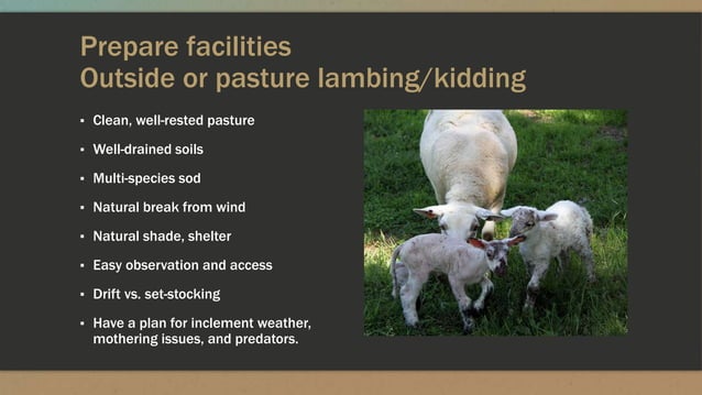 Getting Ready for Lambing & Kidding 2015 | PPT