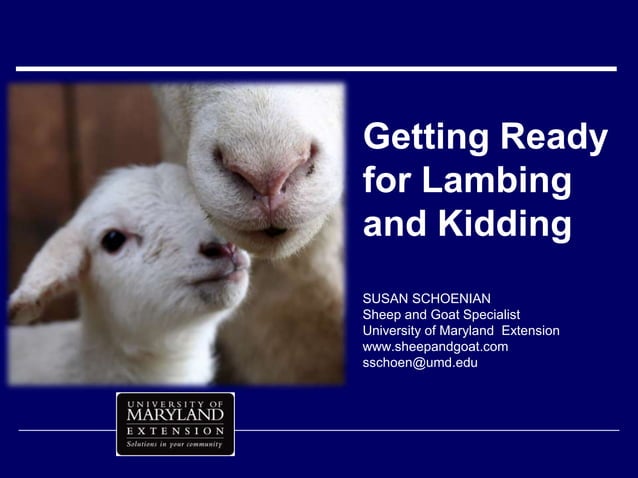 Getting Ready For Lambing And Kidding | PPTX