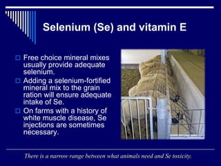 Getting Ready For Lambing And Kidding | PPTX