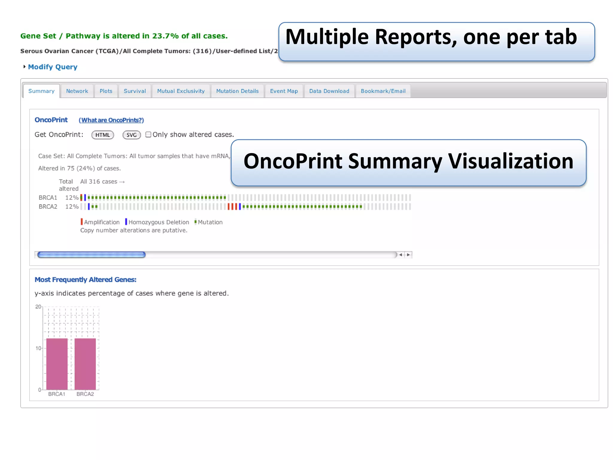 cBio Cancer Genomics Portal: Getting started | PPTX