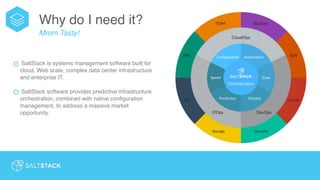 Getting started with salt stack | PDF