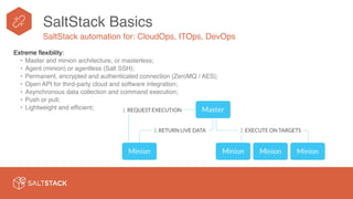 Getting started with salt stack | PDF