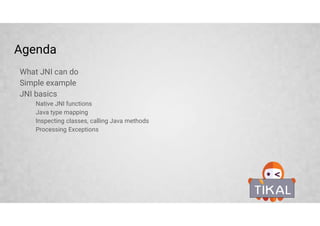 Getting started with the JNI | PDF