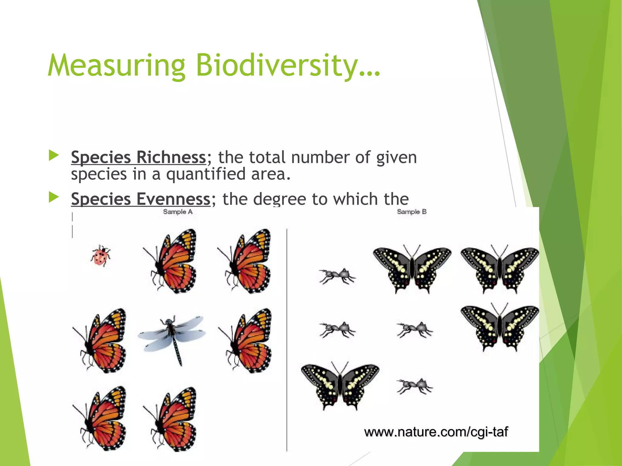 The measurement of biodiversity | PPT