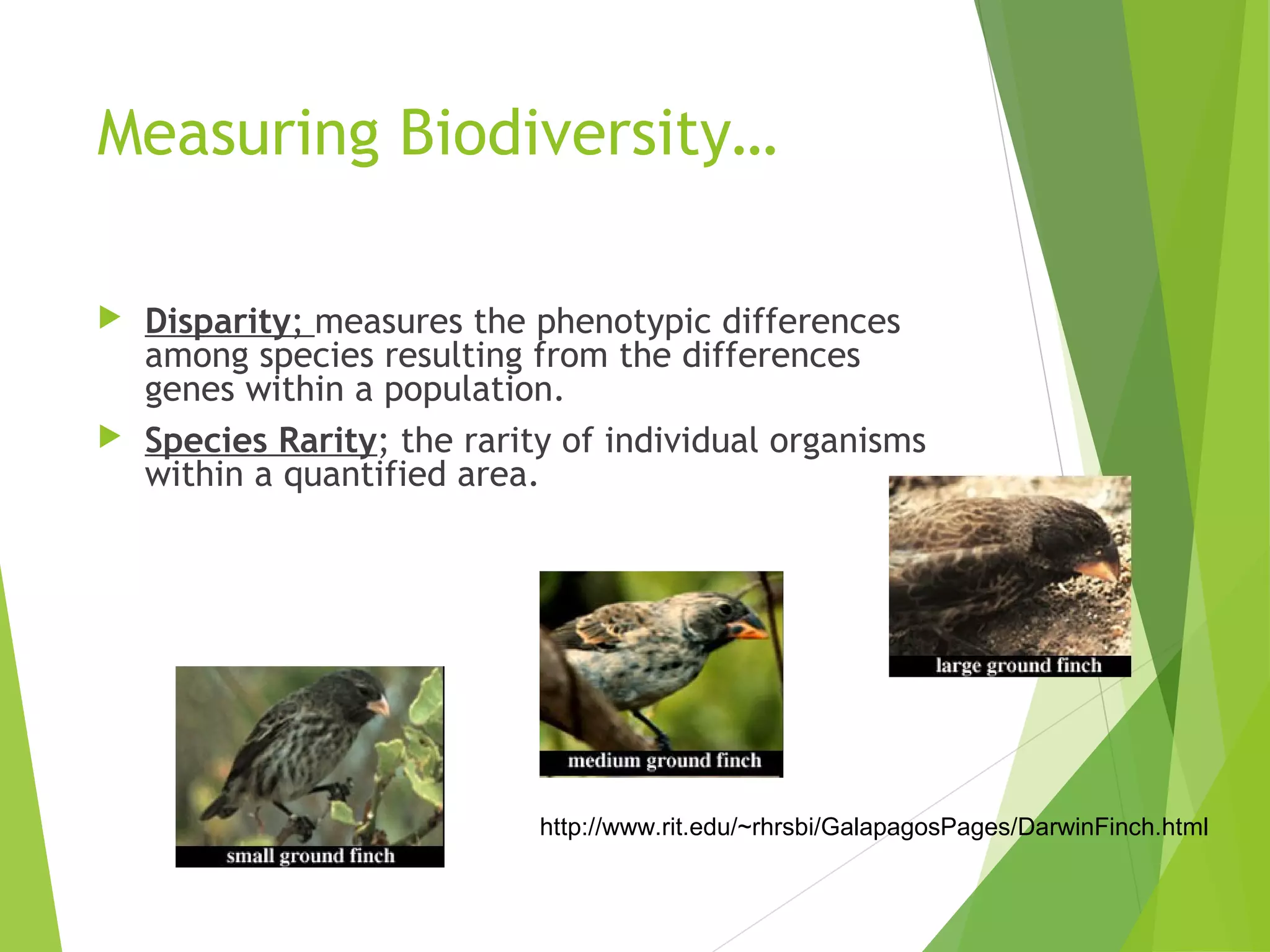 The measurement of biodiversity | PPT