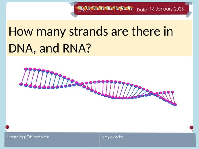 MODULE 4-Getting to know DNA and RNA.pptx