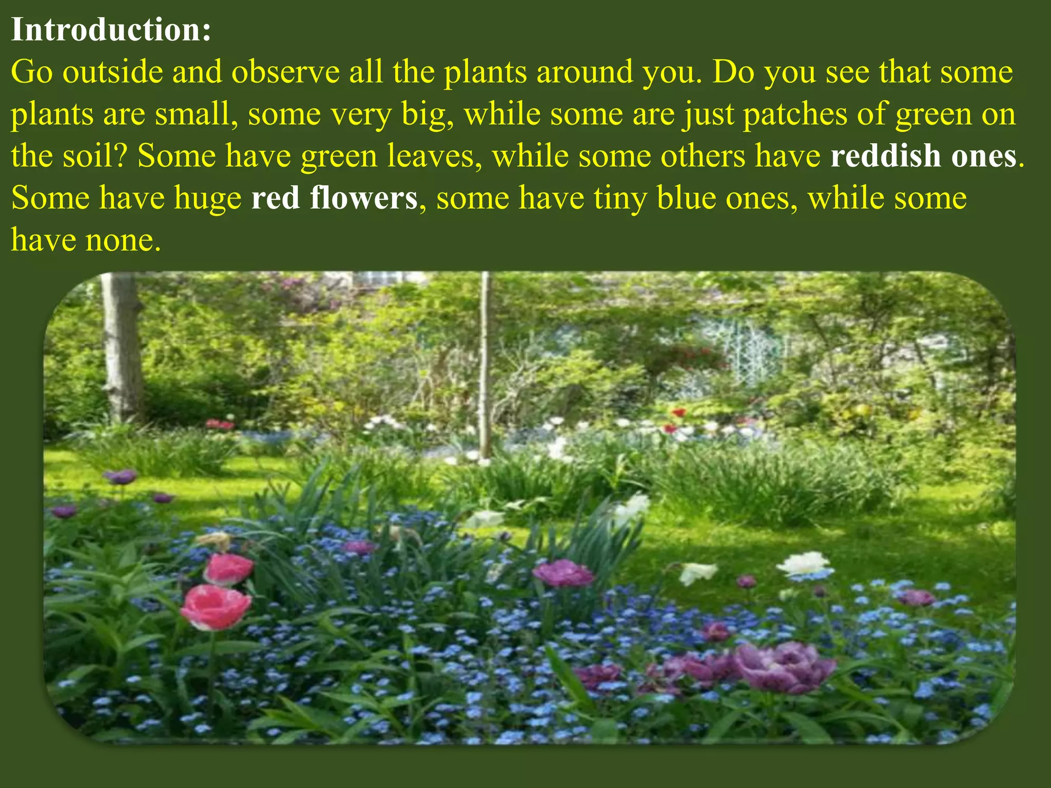 GETTING TO KNOW PLANT 1- (CLASS VI) CBSE CHAPTER-7 | PPTX | Gardening ...