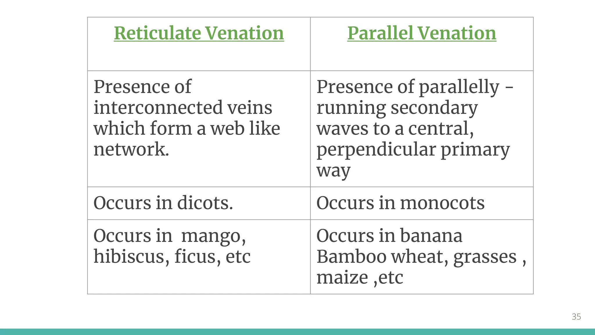 Getting to know plants | PPTX