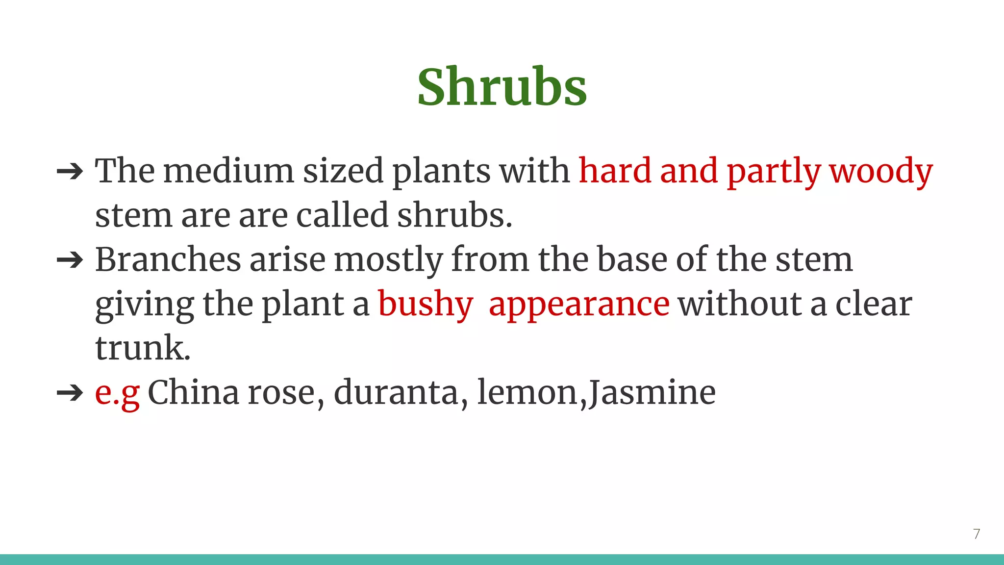 Getting to know plants | PPTX