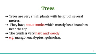 Getting to know plants | PPTX