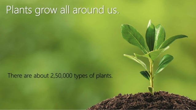 Getting to know plants | PPTX | Gardening | Home & Garden
