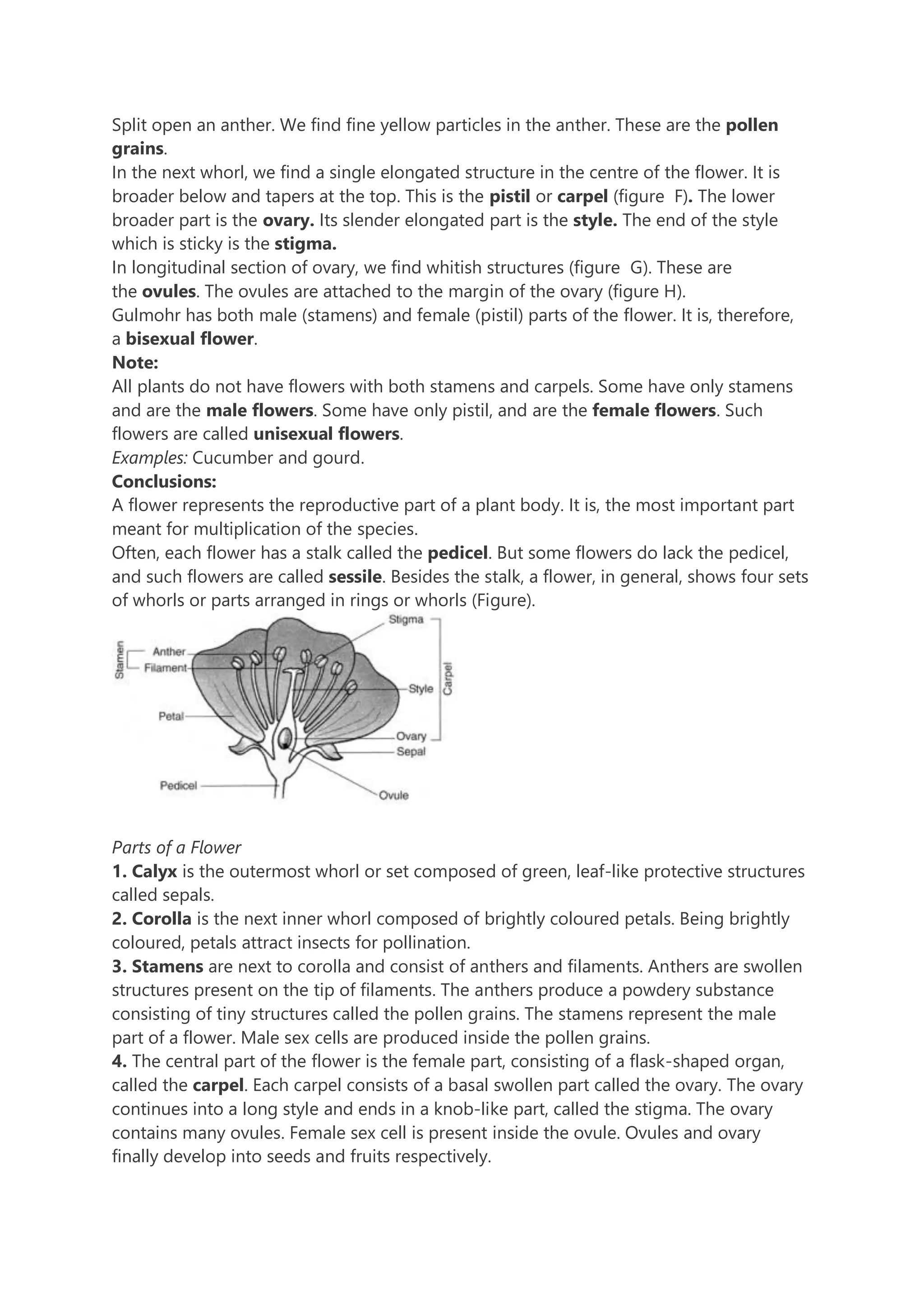 Getting to Know Plants pdf.pdf