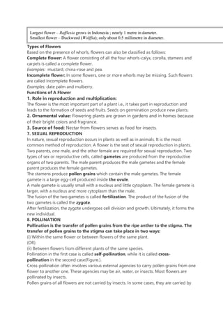 Getting to Know Plants pdf.pdf