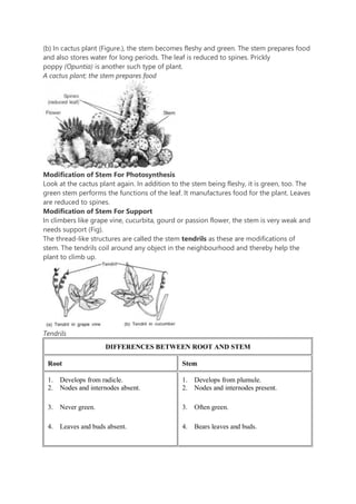 Leaf Modification Worksheet