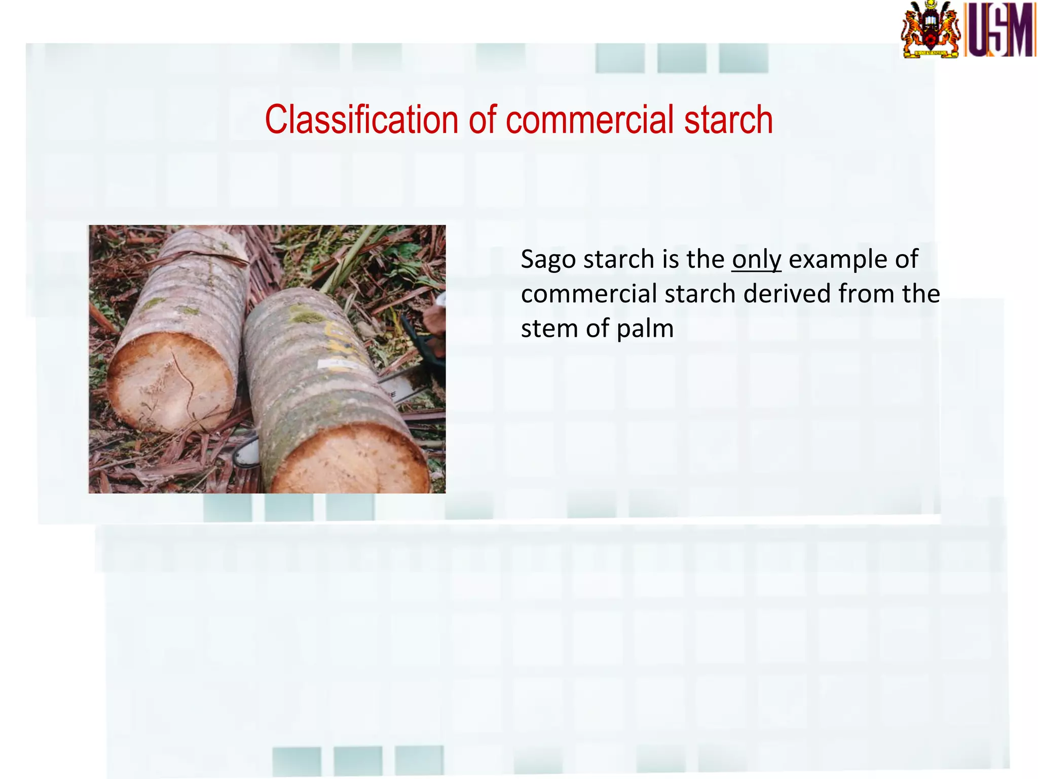 Getting to know sago (palm and starch) | PDF