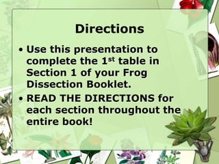 Getting to know your frog anatomy | PPTX