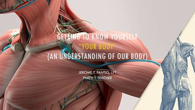 GETTING TO KNOW YOURSELF Muscle Fatigue and Body Movements | PPTX