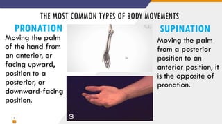 GETTING TO KNOW YOURSELF Muscle Fatigue and Body Movements | PPTX