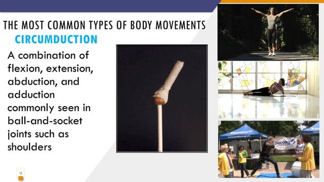 Muscle Fatigue and Oxygen debt an Overview in Physical Education.pptx ...