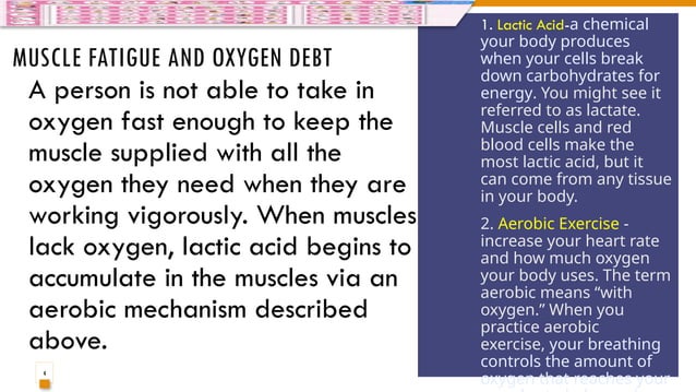 Muscle Fatigue and Oxygen debt an Overview in Physical Education.pptx ...