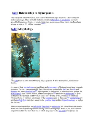 Get to know algae | PDF