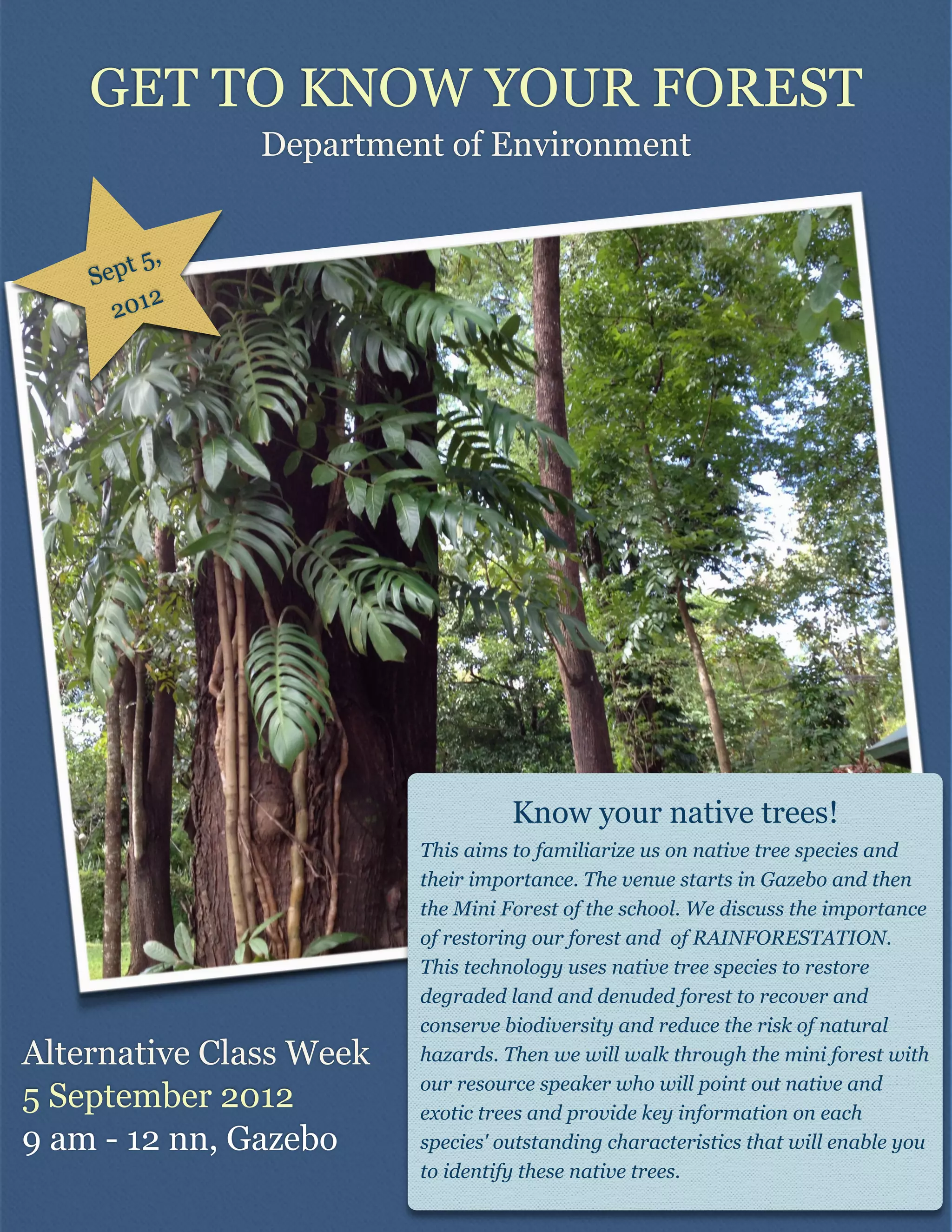 Get to know your forest @MC | PDF