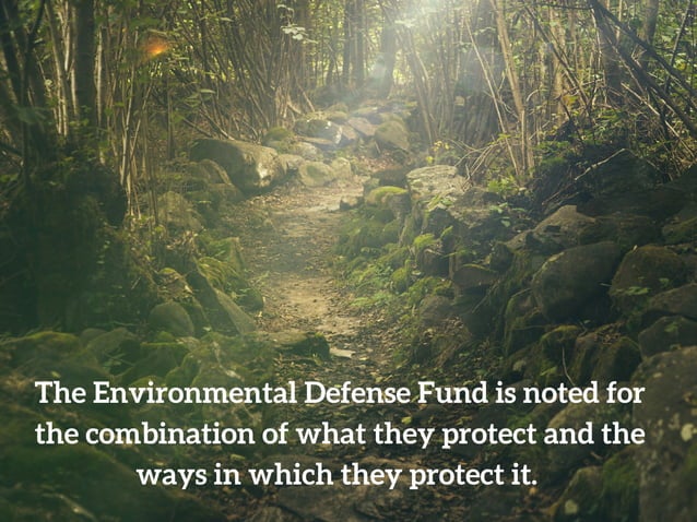 What is the Environmental Defense Fund | PDF | Environmental Services ...