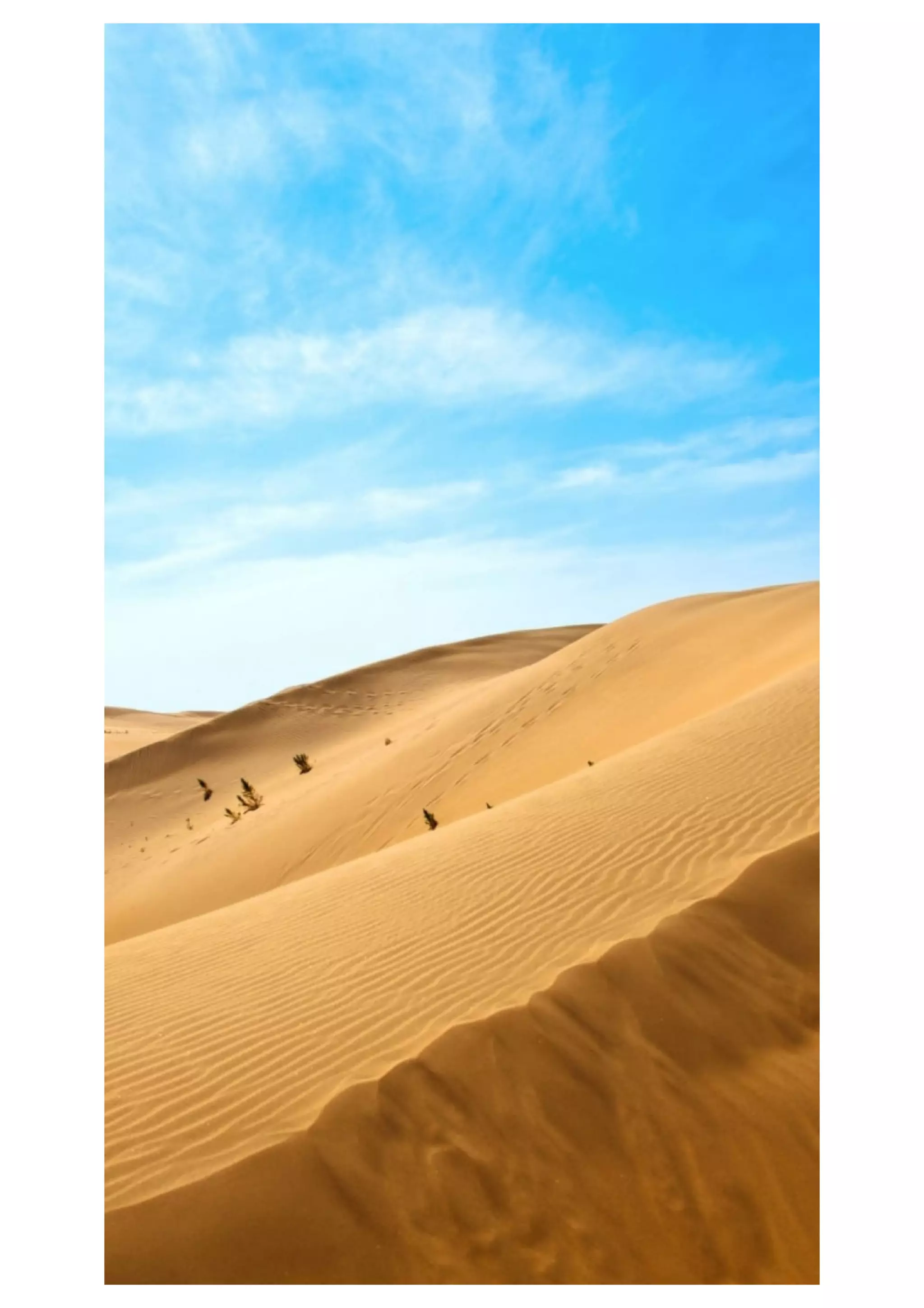 Mobile phone wallpaper - Wallpapers for mobile background | PDF