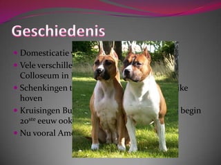 Gevechsthonden | PPT | Free Download