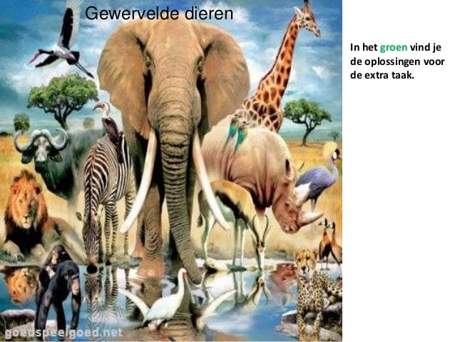 Slideshare: gewervelde dieren