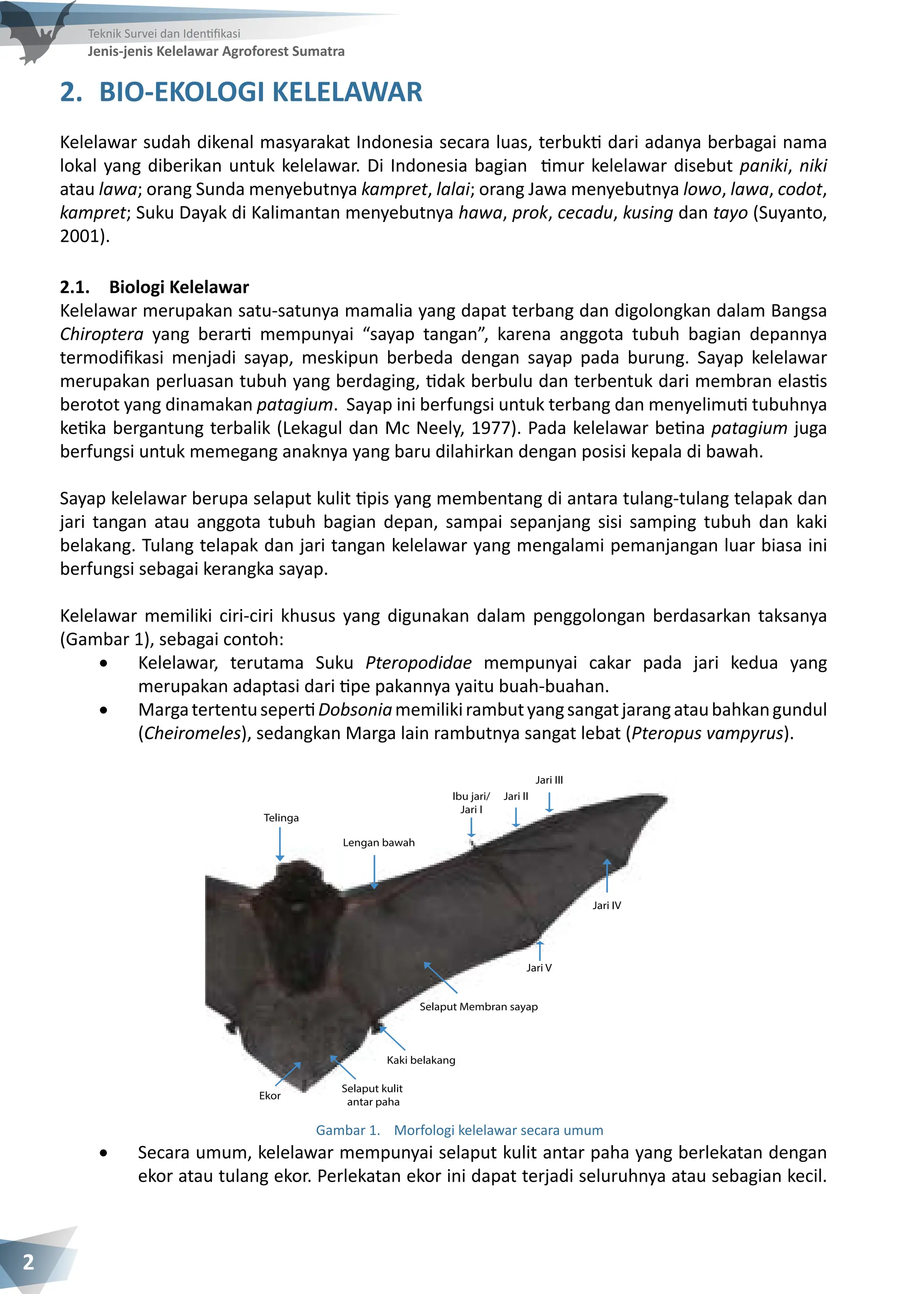 Jenis-Jenis_Kelelawar-Jenis-Jenis_Kelelawar.pdf