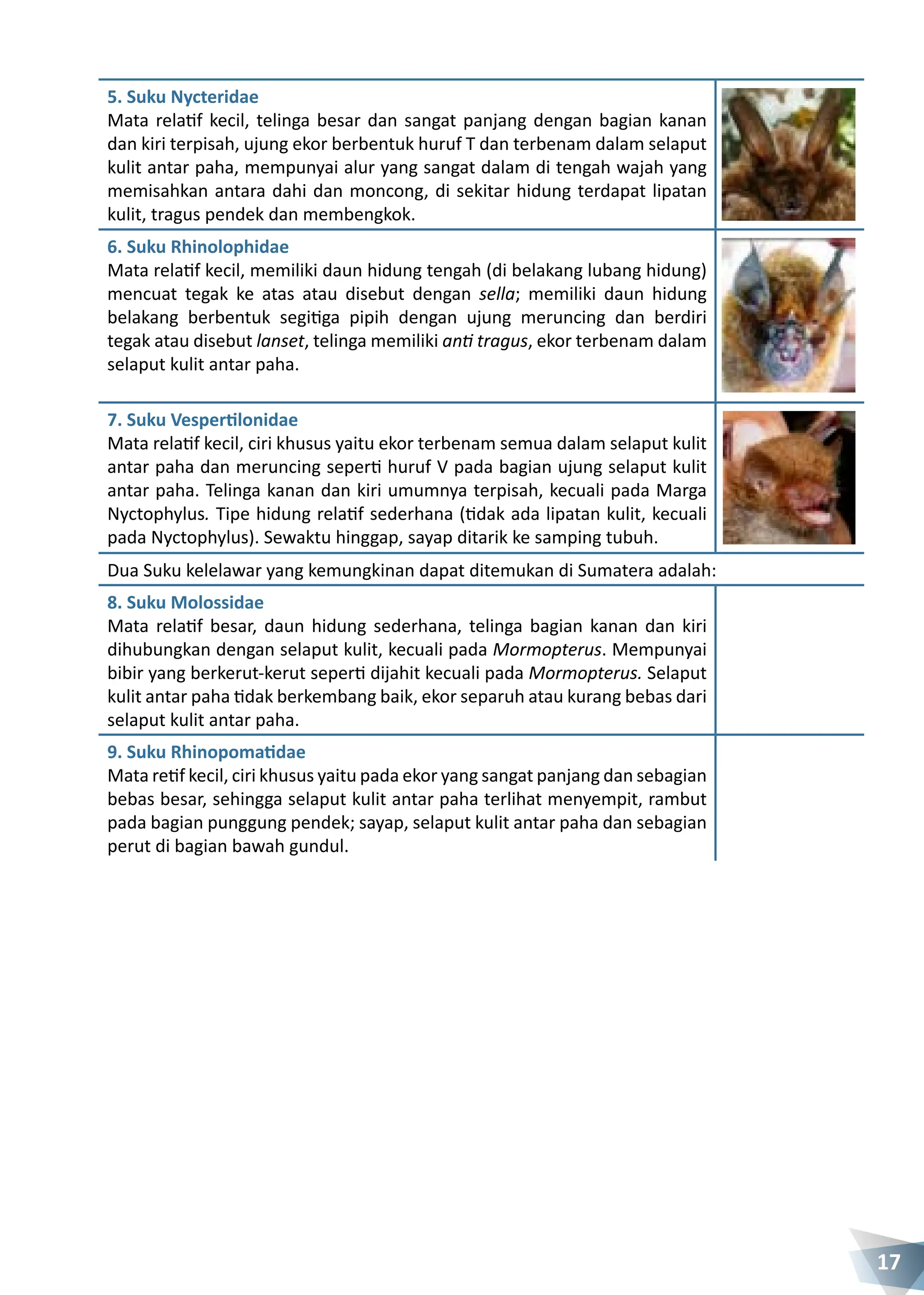 Jenis-Jenis_Kelelawar-Jenis-Jenis_Kelelawar.pdf