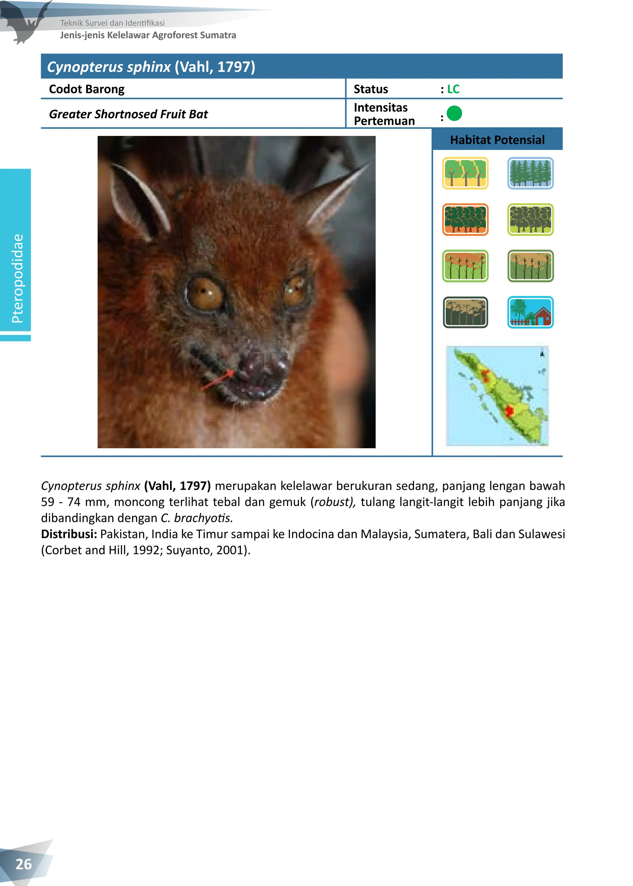 Jenis-Jenis_Kelelawar-Jenis-Jenis_Kelelawar.pdf