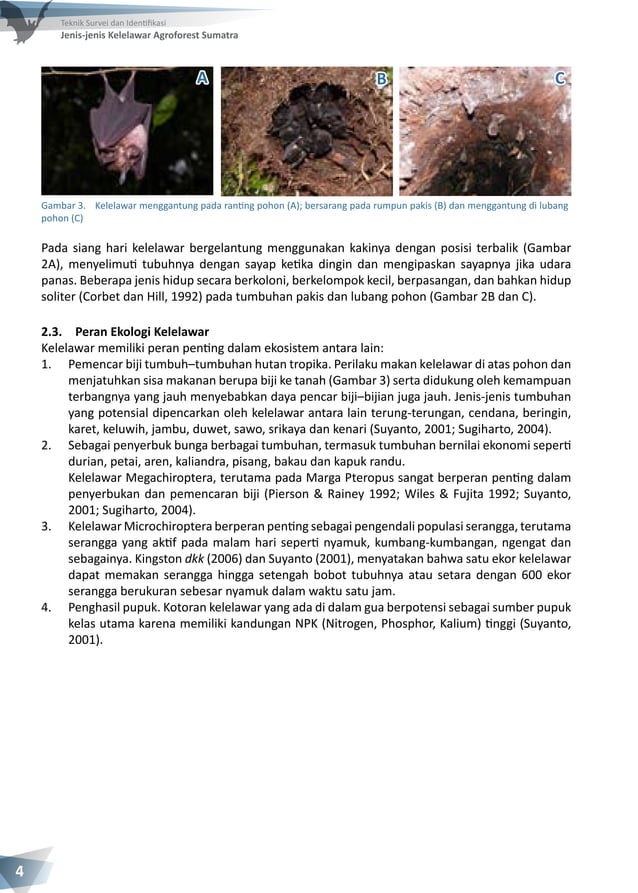 Jenis-Jenis_Kelelawar-Jenis-Jenis_Kelelawar.pdf
