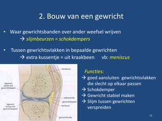 Gewrichten | PPTX