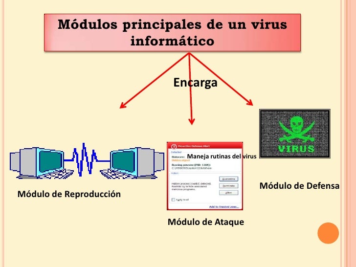 G:\Expo Virus Informaticos