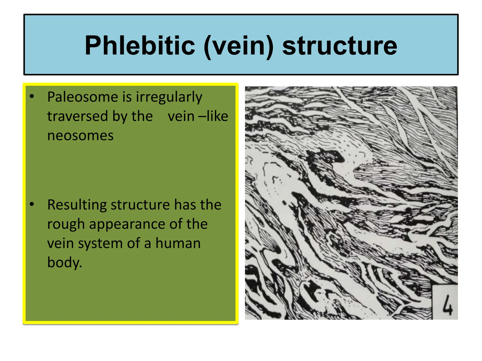 MIGMATITE (Igneous Petrology) [undergraduate] | PPTX