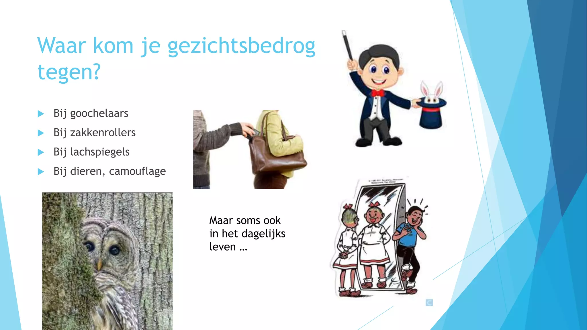 Powerpoint Optische Illusies /Gezichtsbedrog [ingezonden] | PPTX