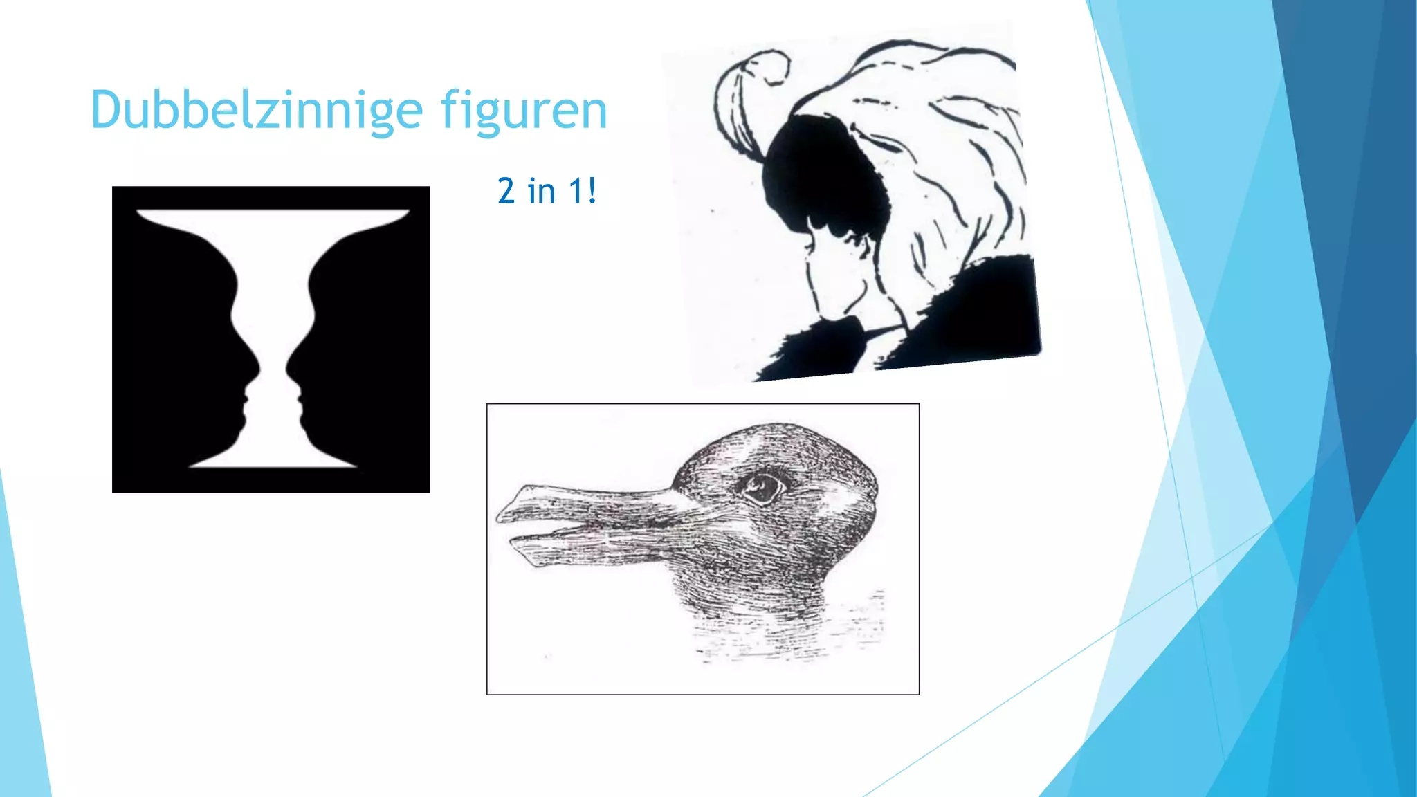 Powerpoint Optische Illusies /Gezichtsbedrog [ingezonden] | PPTX