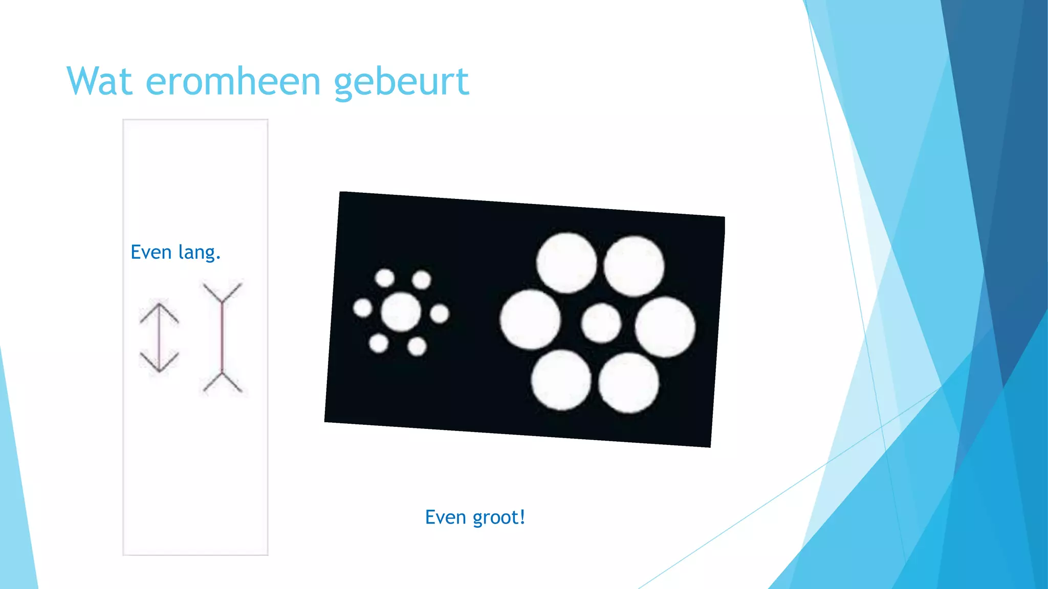 Powerpoint Optische Illusies /Gezichtsbedrog [ingezonden] | PPTX