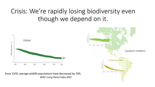 Biodiversity 101: Dependencies, impacts and opportunities | PDF
