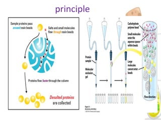 (Gel Filtration Chromatography)GFC | PPTX