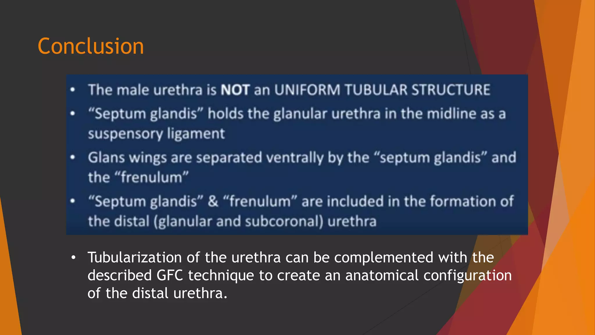 Journal Club 'Hypospadias repair with the glanular-frenular collar (GFC ...