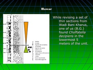 New data on the Hawar, Shu'aiba, Bab, and Sabsab regional stages of the ...